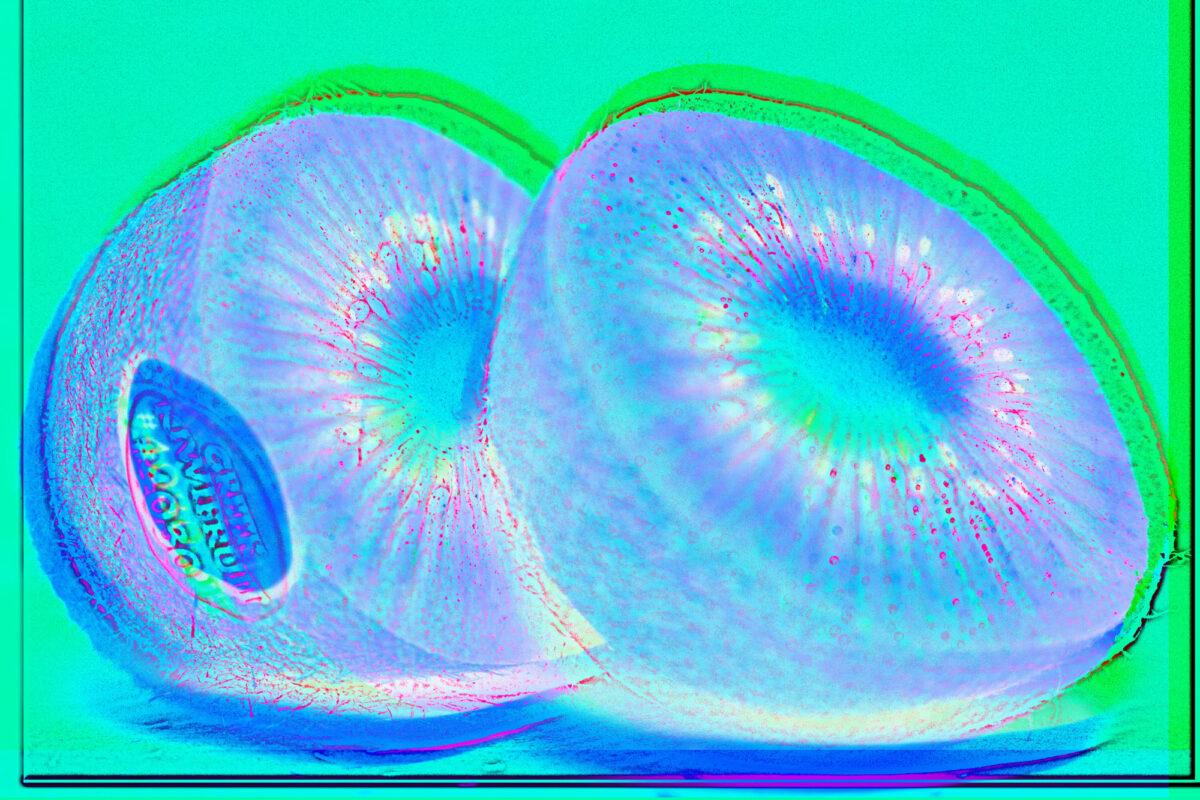 Imaginary Colors – Caitlyn Rose O’Leary